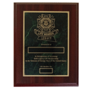 VFW Store - Gold Life Member Legacy Patch