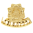 VFW Store - Auxiliary Member and Veteran Pin