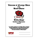 VFW Store - Outstanding Participation Buddy Poppy Award